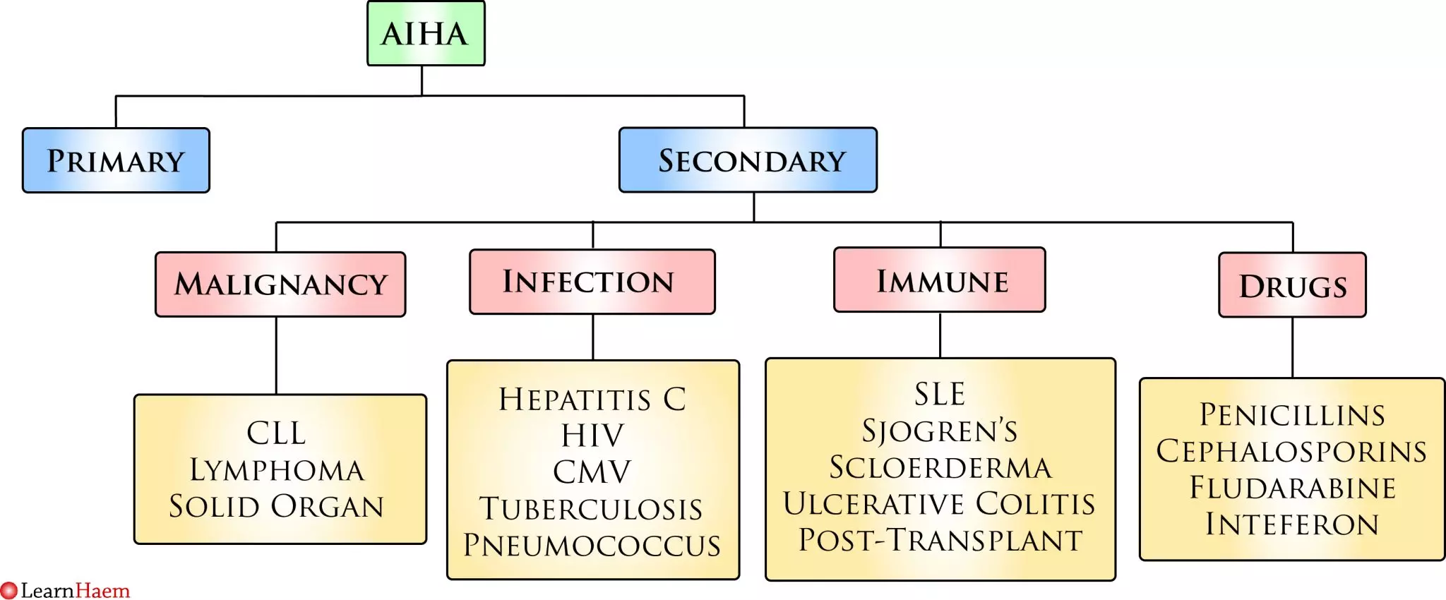 Autoimmune Haemolytic Anaemia - LearnHaem | Haematology Made Simple