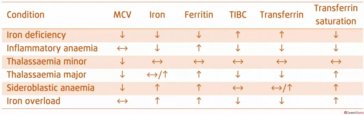 Interpreting Iron Studies - LearnHaem | Haematology Made Simple