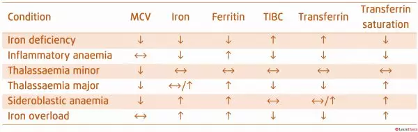 Interpreting Iron Studies - LearnHaem | Haematology Made Simple