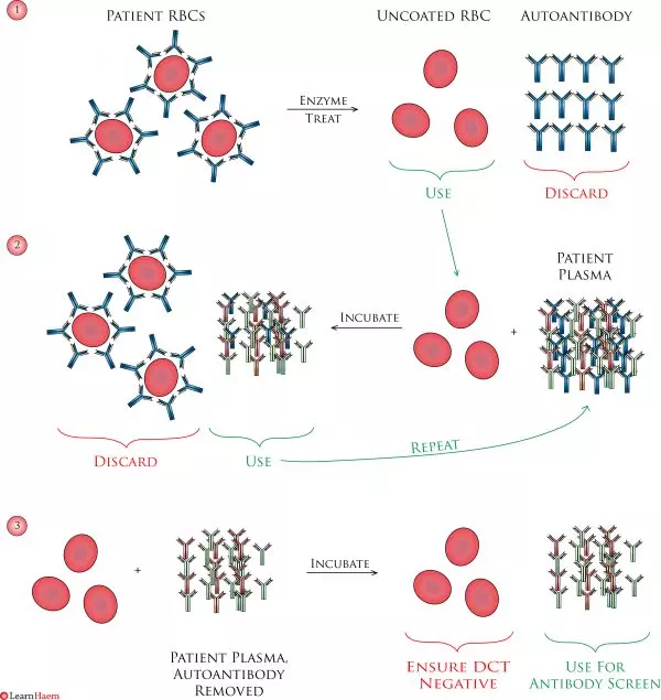 Autoadsorption - LearnHaem | Haematology Made Simple