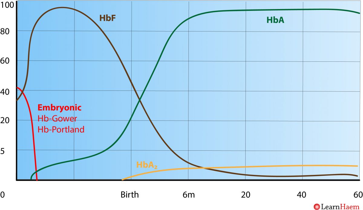 Normal Haemoglobins - LearnHaem | Haematology Made Simple