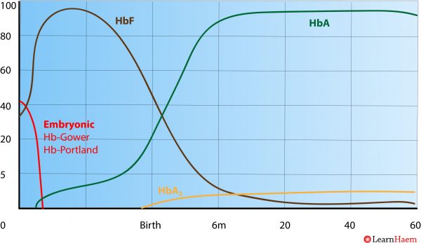 Normal Haemoglobins - LearnHaem | Haematology Made Simple