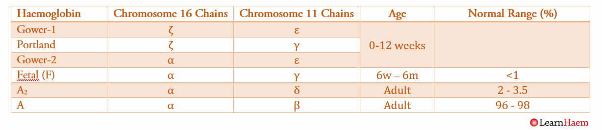 Normal Haemoglobins - LearnHaem | Haematology Made Simple