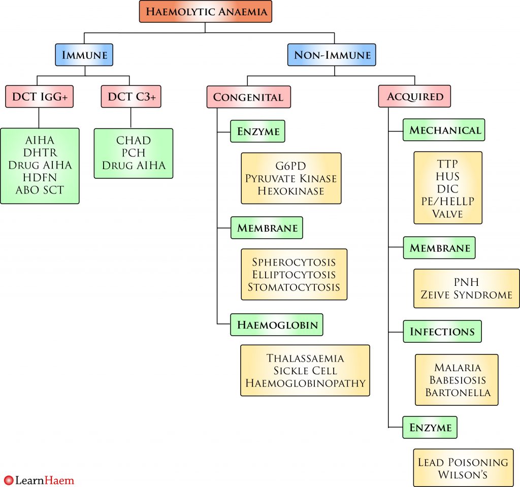 Classification of Haemolysis - LearnHaem | Haematology Made Simple