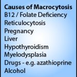 Causes of Macrocytosis - LearnHaem | Haematology Made Simple