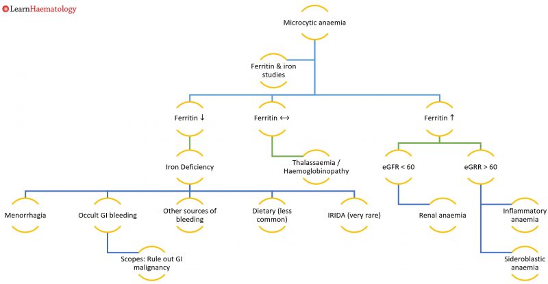 Approach to Microcytosis - LearnHaem | Haematology Made Simple