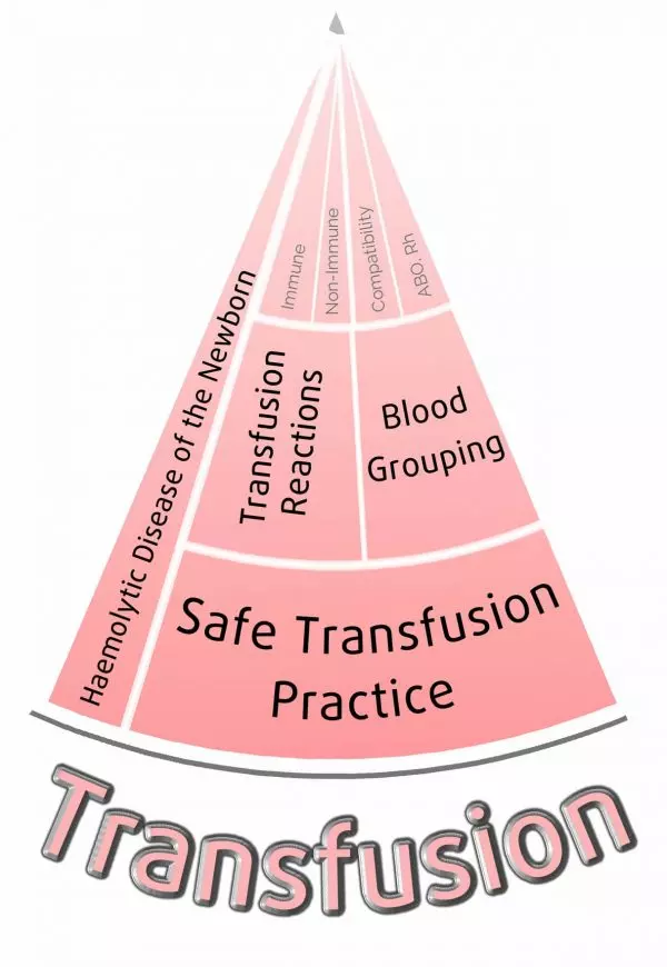 Transfusion - LearnHaem | Haematology Made Simple