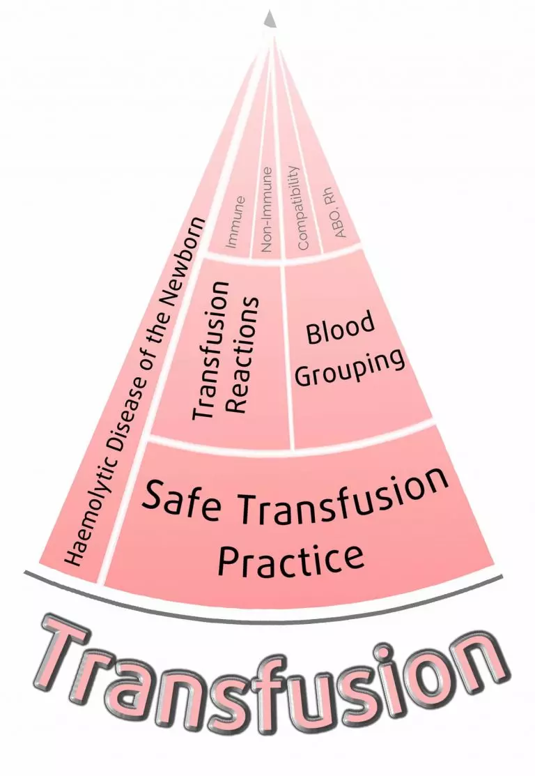 Transfusion - LearnHaem | Haematology Made Simple