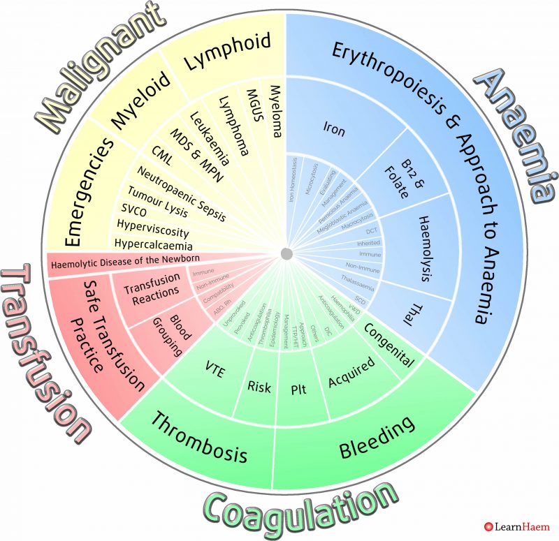 Medical Students - LearnHaem | Haematology Made Simple