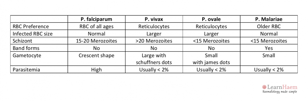 Malaria - Overview - LearnHaem | Haematology Made Simple