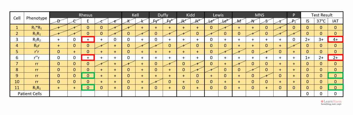 Antibody Identification Panels (Antigrams) - LearnHaem | Haematology ...