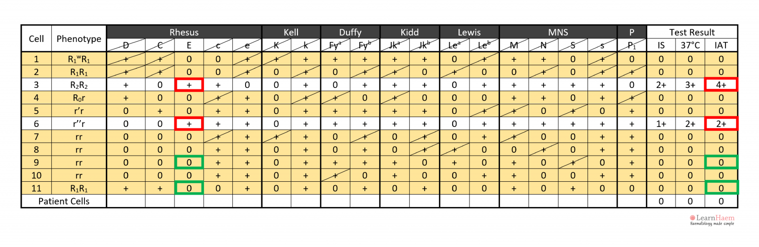 Antibody Identification Panels (Antigrams) - LearnHaem | Haematology ...