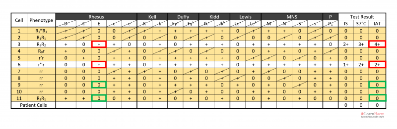 Antibody Identification Panels (Antigrams) - LearnHaem | Haematology ...