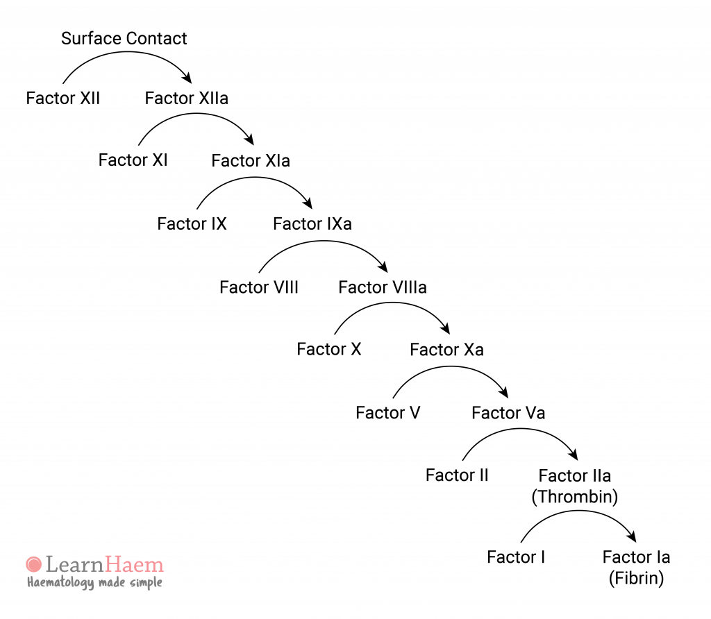 Coagulation: A Short History - LearnHaem | Haematology Made Simple