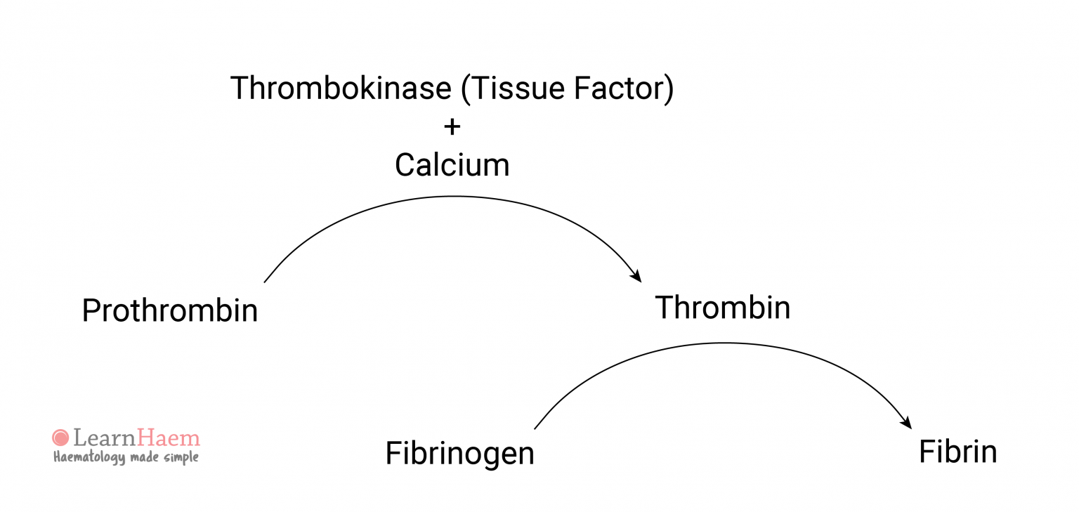 Coagulation: A Short History - LearnHaem | Haematology Made Simple