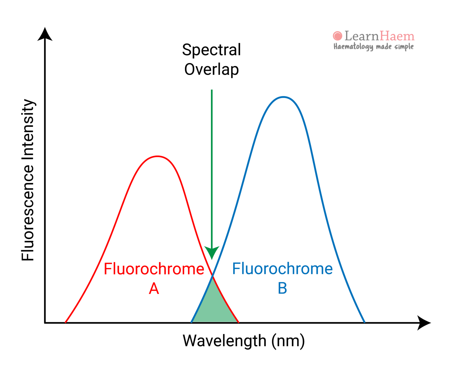 Fluorescence - LearnHaem | Haematology Made Simple