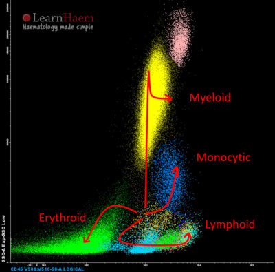 Blast Window - LearnHaem | Haematology Made Simple