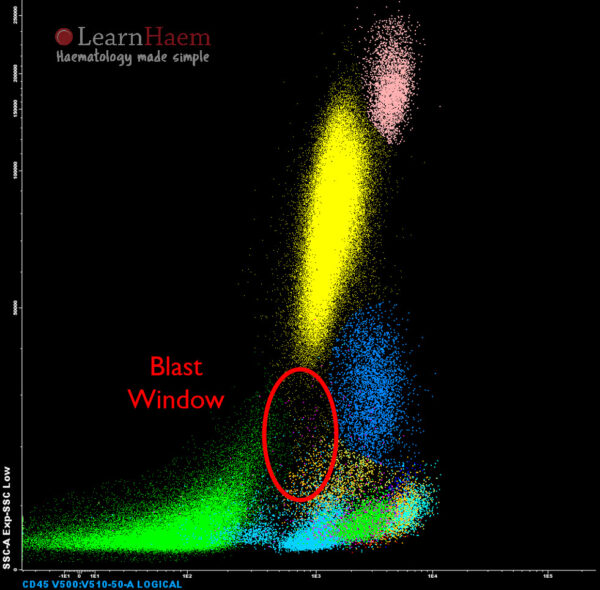 Blast Window - LearnHaem | Haematology Made Simple