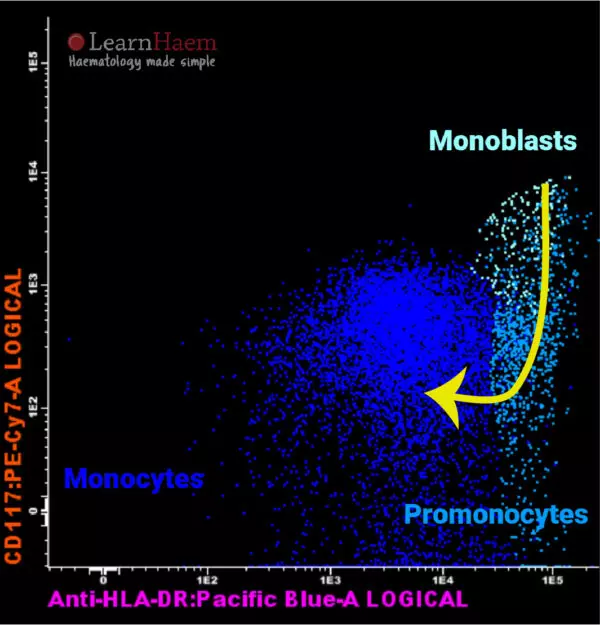 Normal Monocyte Maturation - LearnHaem | Haematology Made Simple