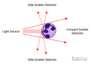 Light Scatter - LearnHaem | Haematology Made Simple