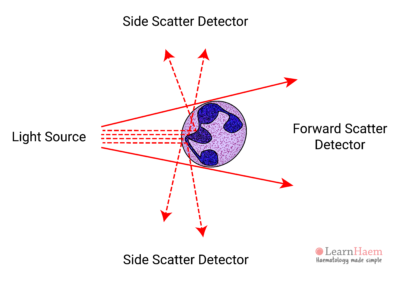 Light Scatter - LearnHaem | Haematology Made Simple