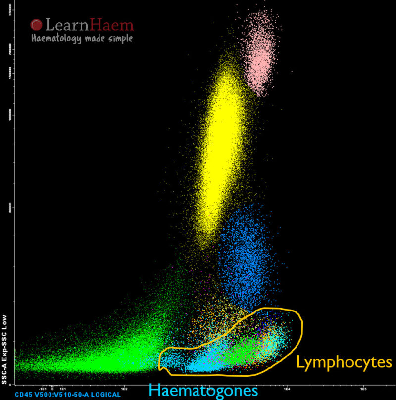 Lymphocyte Gate - LearnHaem | Haematology Made Simple