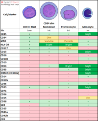 Normal Monocyte Maturation - LearnHaem | Haematology Made Simple