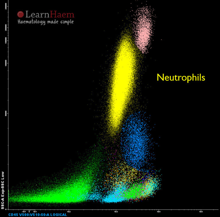 Neutrophil Gate - LearnHaem | Haematology Made Simple
