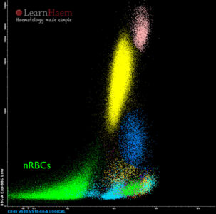 Erythroid Gate - LearnHaem | Haematology Made Simple