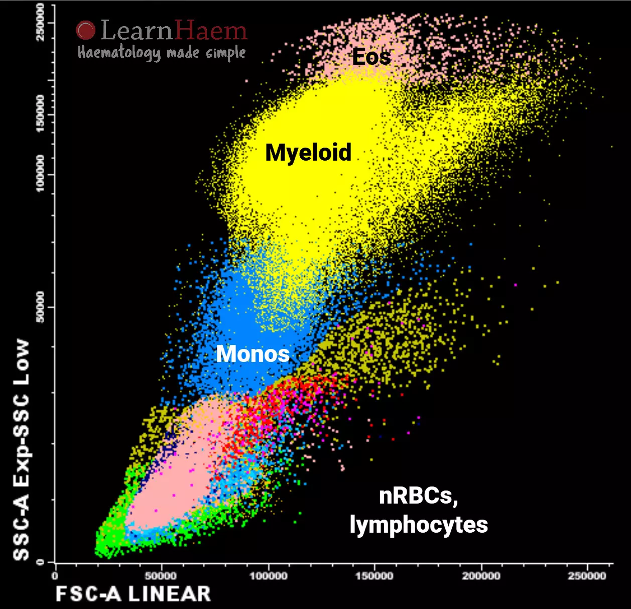 Light Scatter - LearnHaem | Haematology Made Simple
