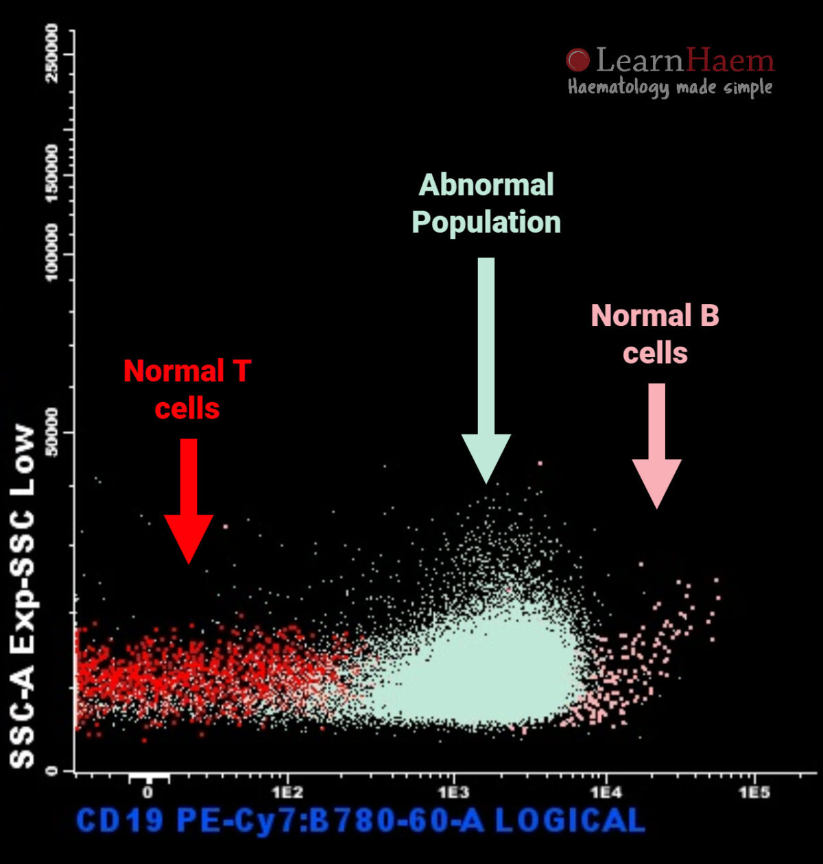 Reporting - LearnHaem | Haematology Made Simple