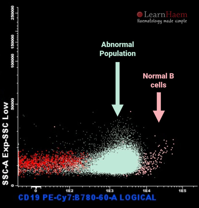 Reporting - LearnHaem | Haematology Made Simple