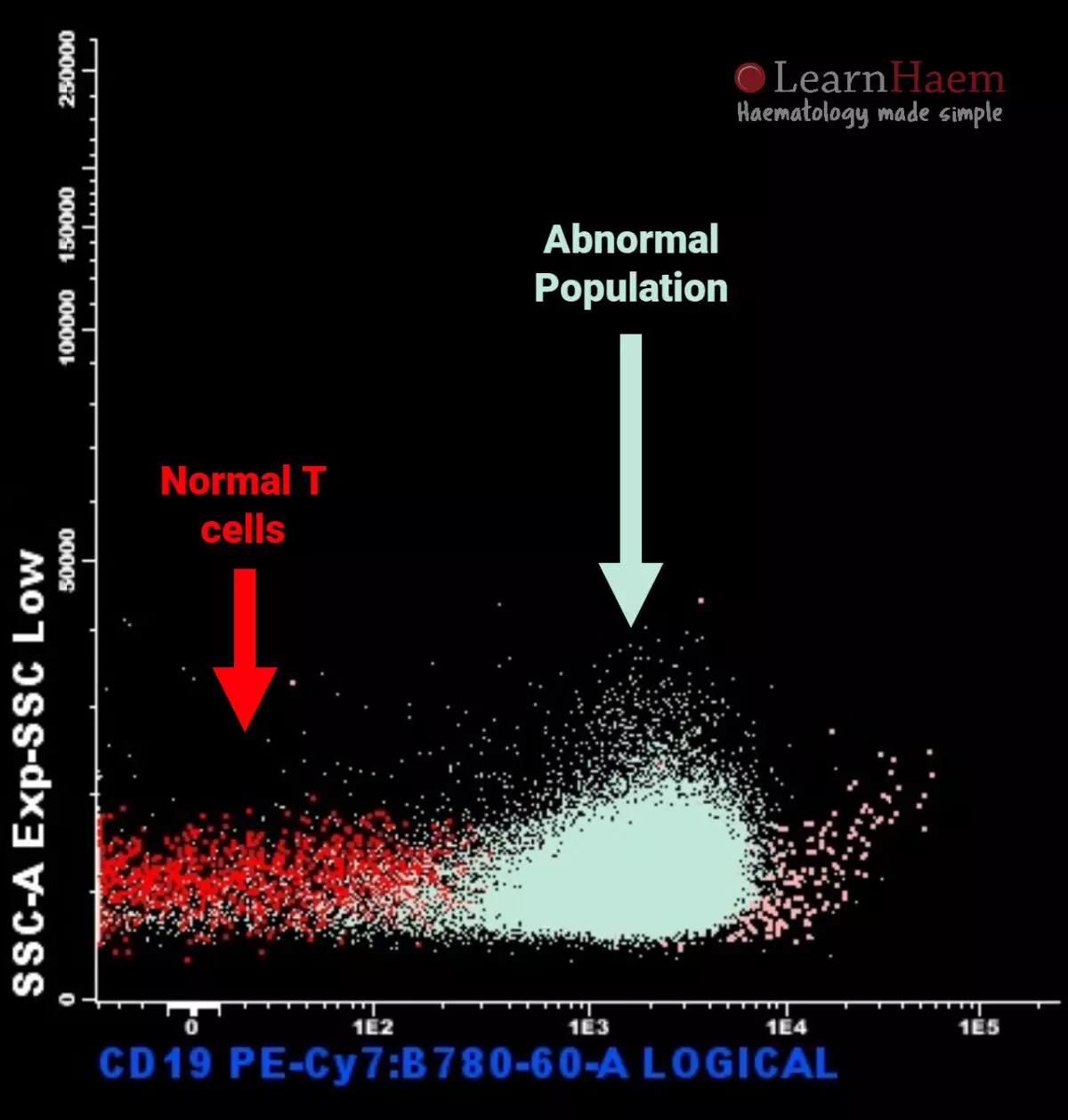 Reporting - LearnHaem | Haematology Made Simple