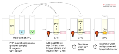 Activated Partial Thromboplastin Time (APTT) - LearnHaem | Haematology ...