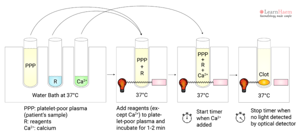Activated Partial Thromboplastin Time (APTT) - LearnHaem | Haematology ...