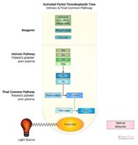 Activated Partial Thromboplastin Time (APTT) - LearnHaem | Haematology ...