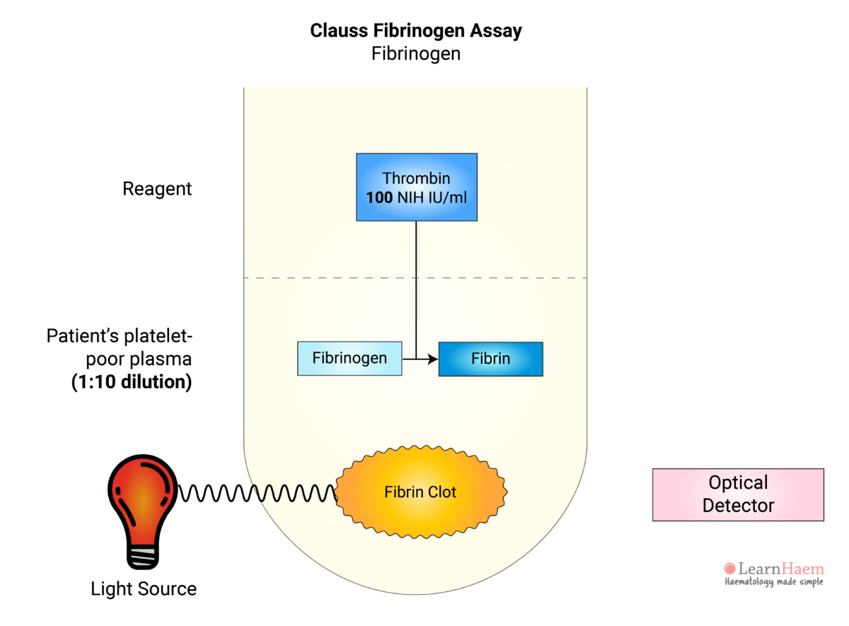 Clauss Fibrinogen Assay - LearnHaem | Haematology Made Simple
