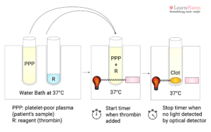 Thrombin Time (TT) - LearnHaem | Haematology Made Simple