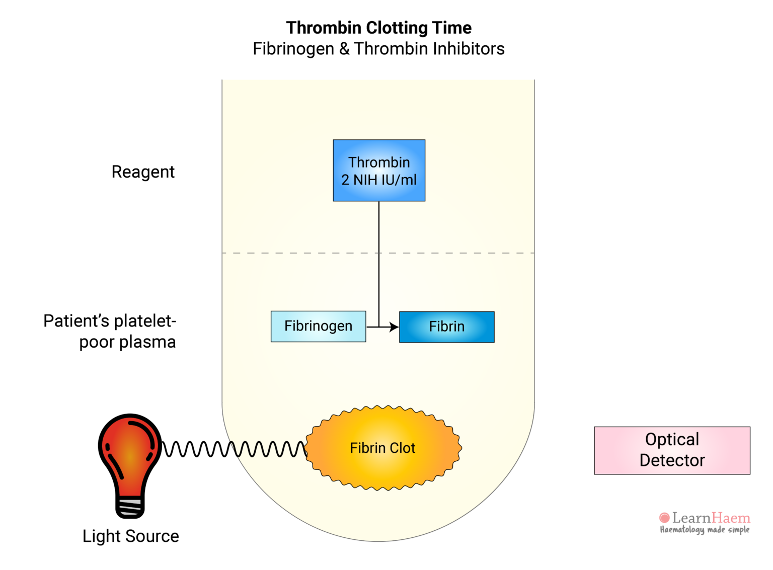 Thrombin Time (TT) - LearnHaem | Haematology Made Simple