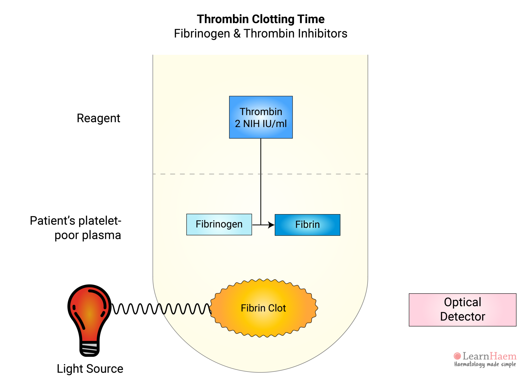 Thrombin Time TT LearnHaem Haematology Made Simple